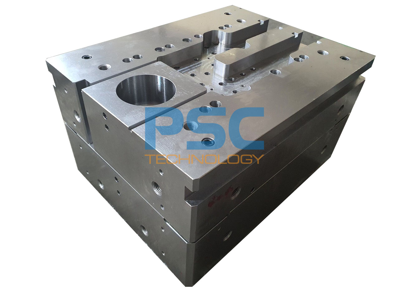 What is Mold and Molding? - PSCTECH